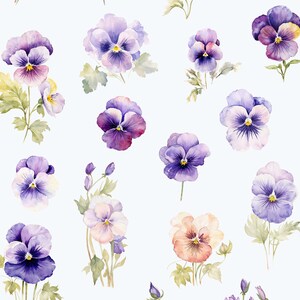 Pansy and Viola Flower Clipart | Vibrant Floral Graphics | Transparent ...