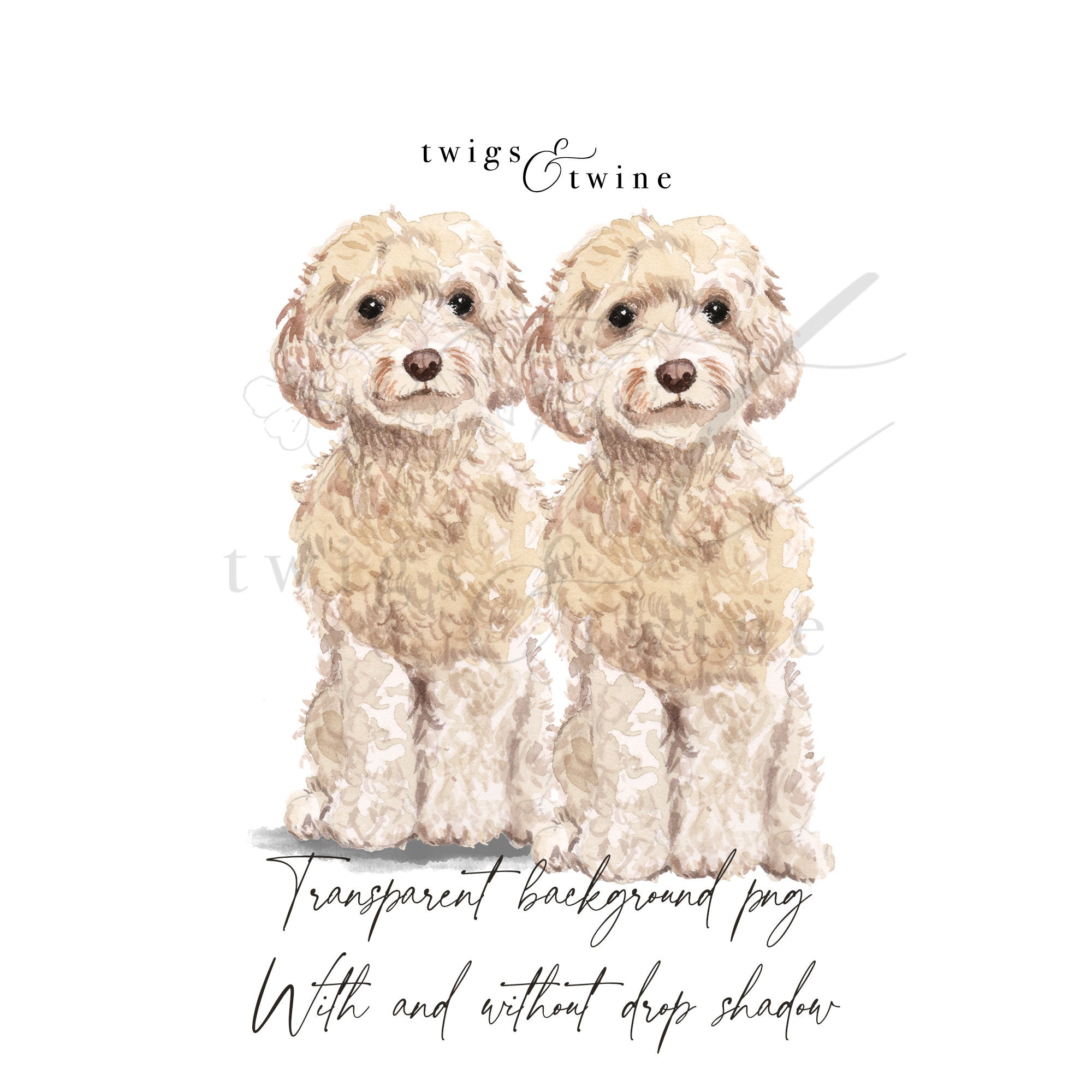 Champagne Cockapoo Watercolor Dog Illustration Graphic - Etsy