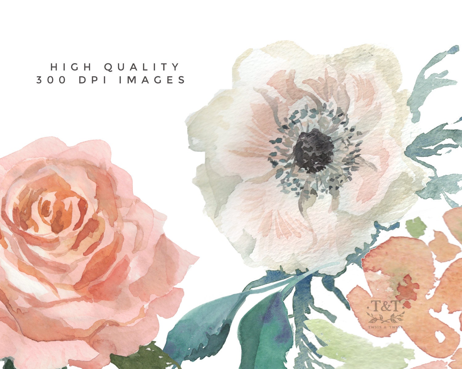 Watercolor Hand-painted Flower Clipart - Dusk - Etsy