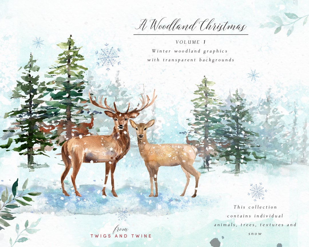 Woodland Christmas Watercolor Festive Clipart - Woodland Animals and ...