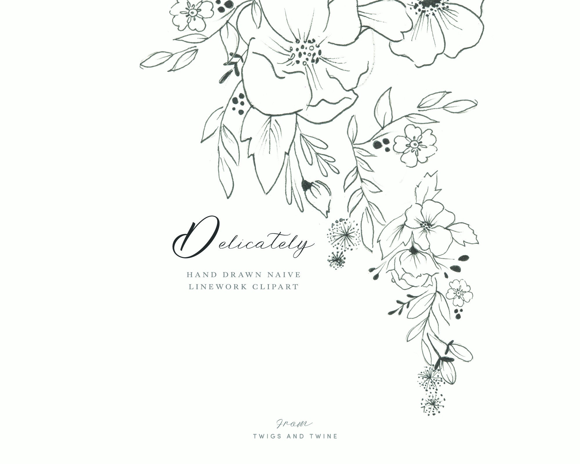 Delicately Fine Line Hand Drawn Floral Clipart. Perfect for | Etsy