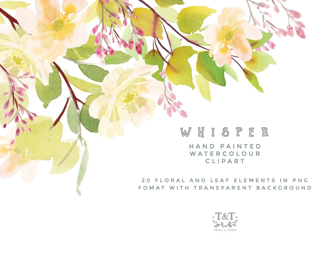 Hand Painted Flower Clipart Whisper Watercolor Floral. | Etsy