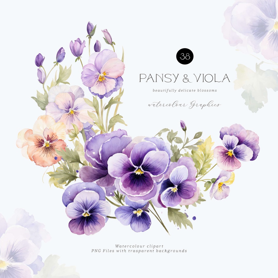 Pansy and Viola Flower Clipart | Vibrant Floral Graphics | Transparent ...