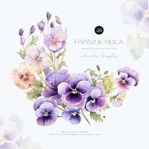 Pansy and Viola Flower Clipart | Vibrant Floral Graphics | Transparent ...