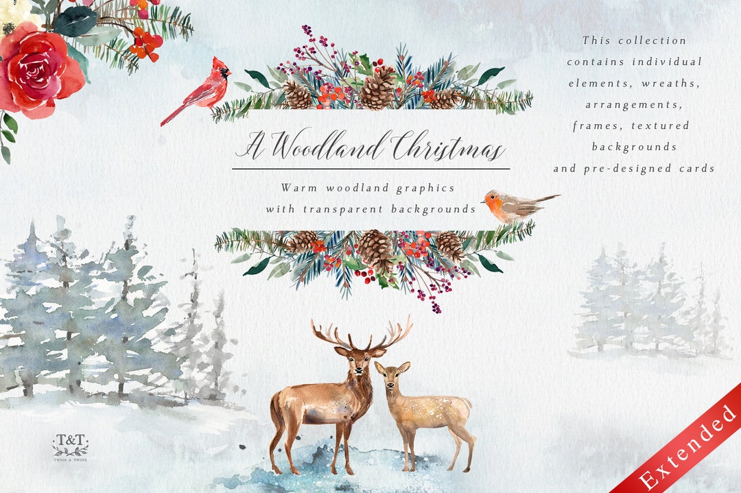 Woodland Christmas Watercolor Festive Clipart - Woodland Animals and ...