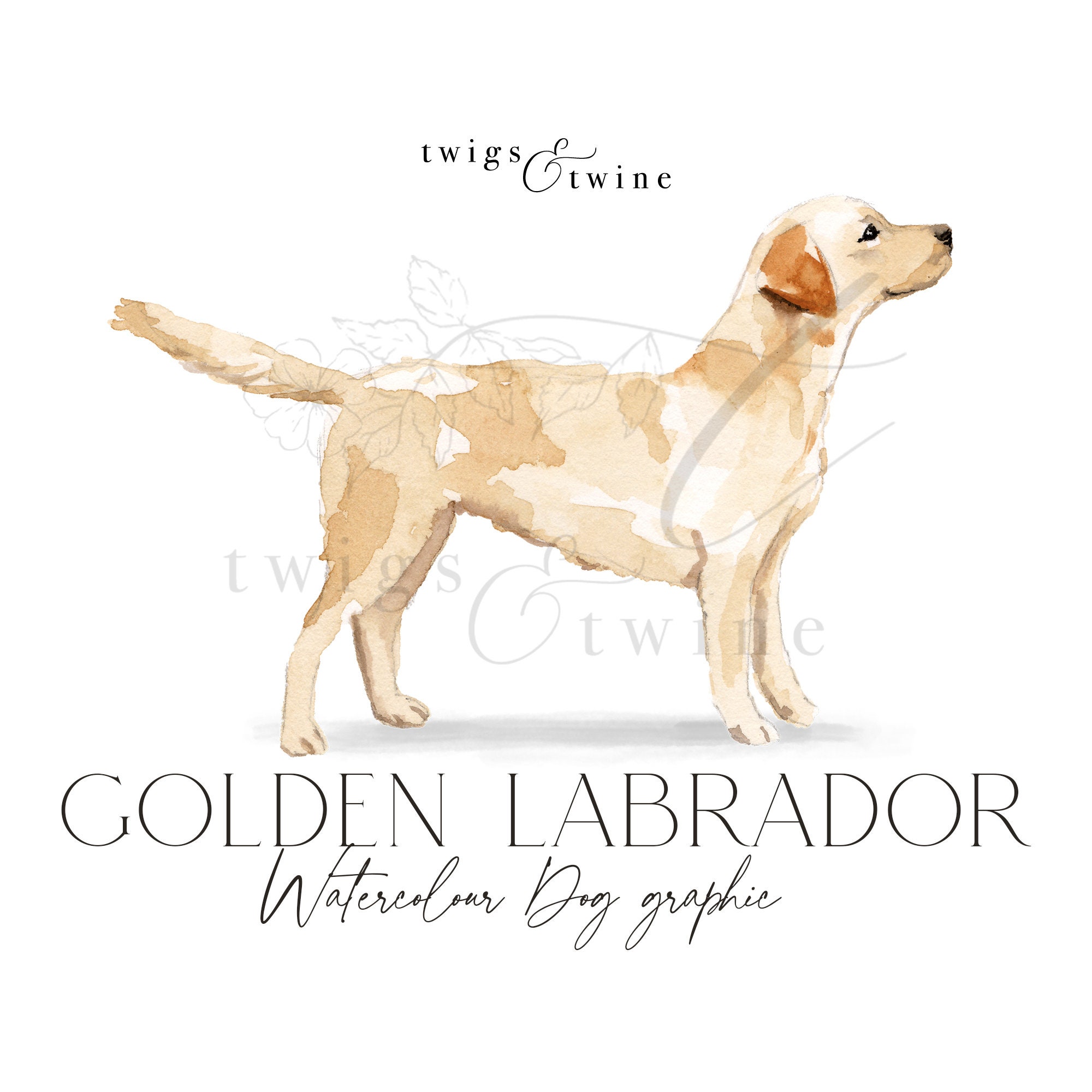 Golden Labrador Retriever Watercolor Dog Illustration Graphic | Etsy
