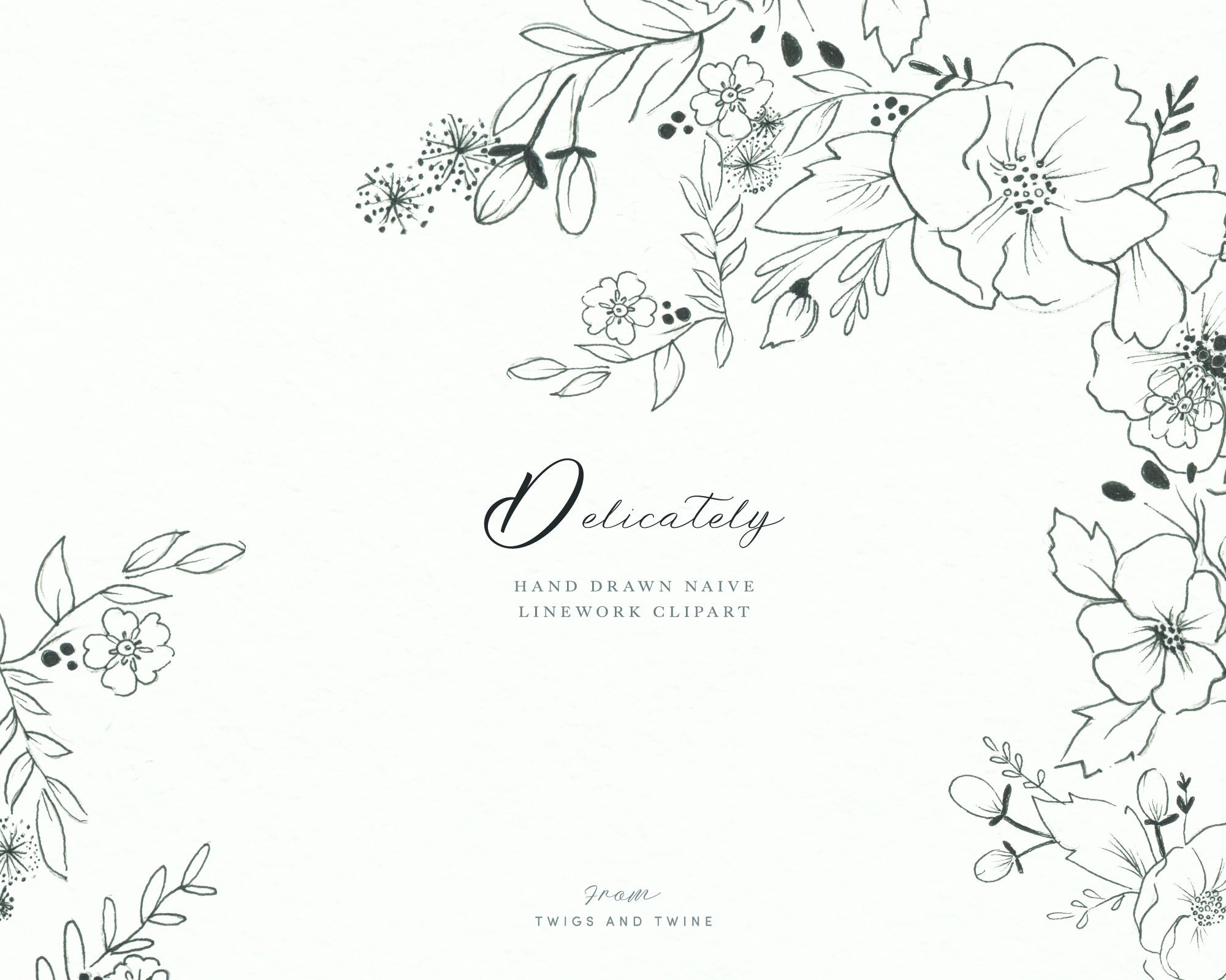 Delicately - Fine Line Hand Drawn Floral Clipart. Perfect for Wedding ...