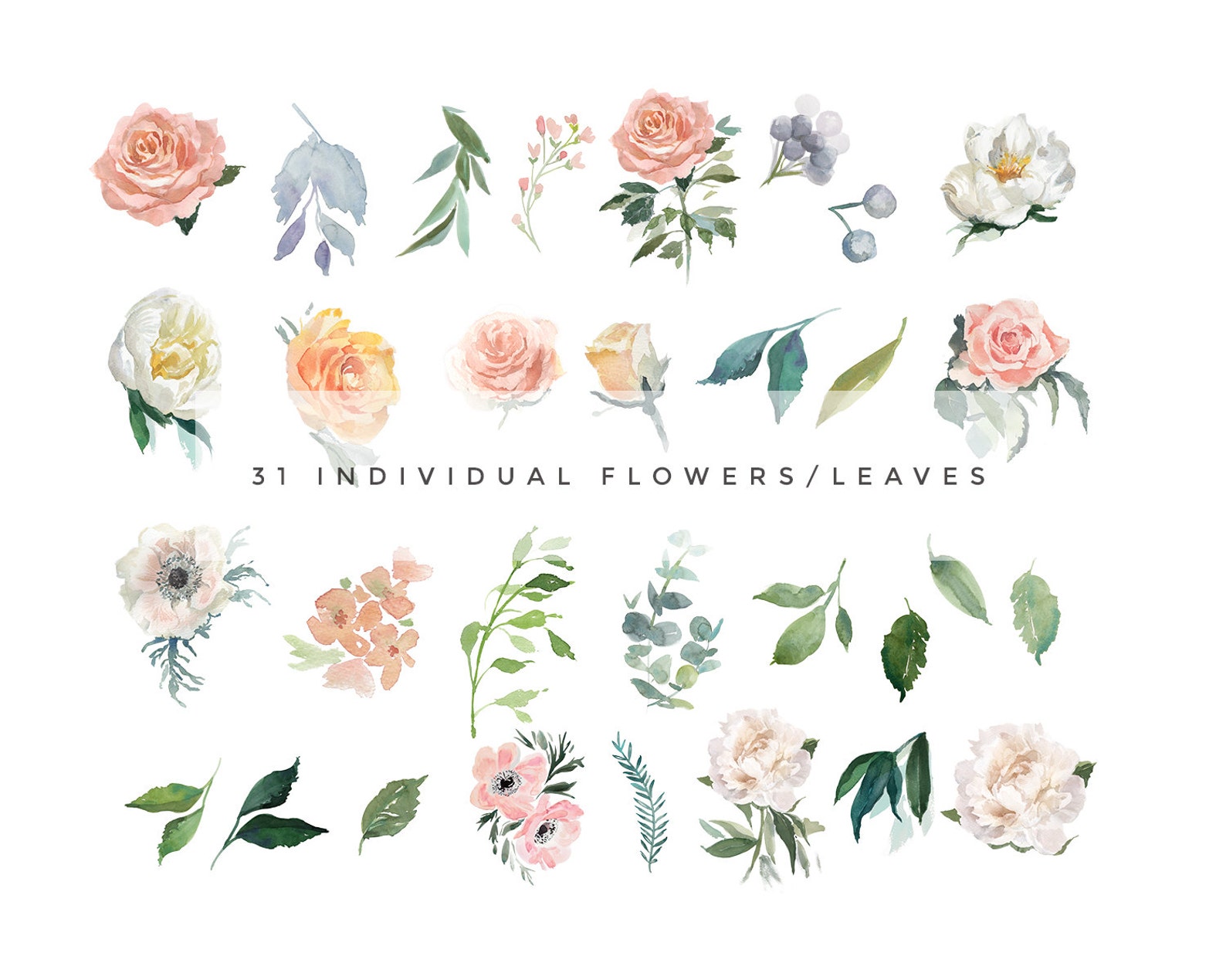 Watercolor Hand-painted Flower Clipart Dusk - Etsy