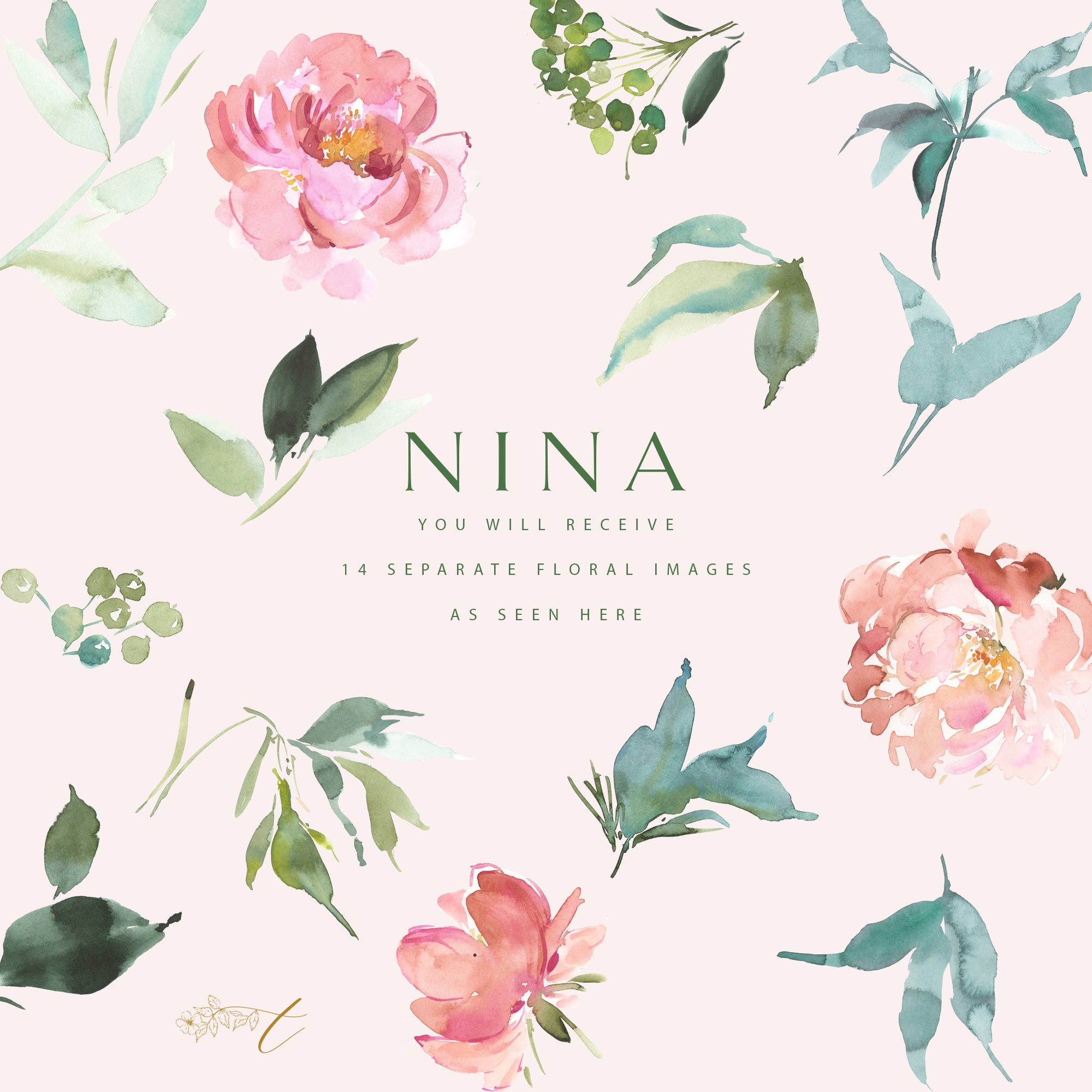 Hand Painted Watercolour Flower Clipart NINA. Floral - Etsy