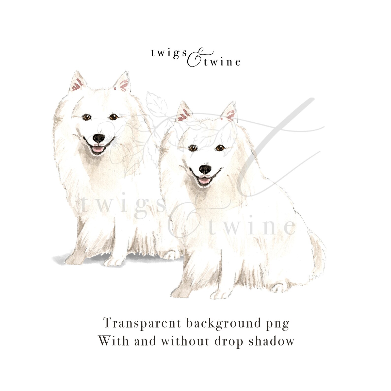 Japanese Spitz Watercolor Dog Illustration Graphic - Etsy