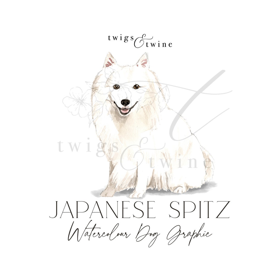 Japanese Spitz Watercolor Dog Illustration Graphic - Commercial Use ...
