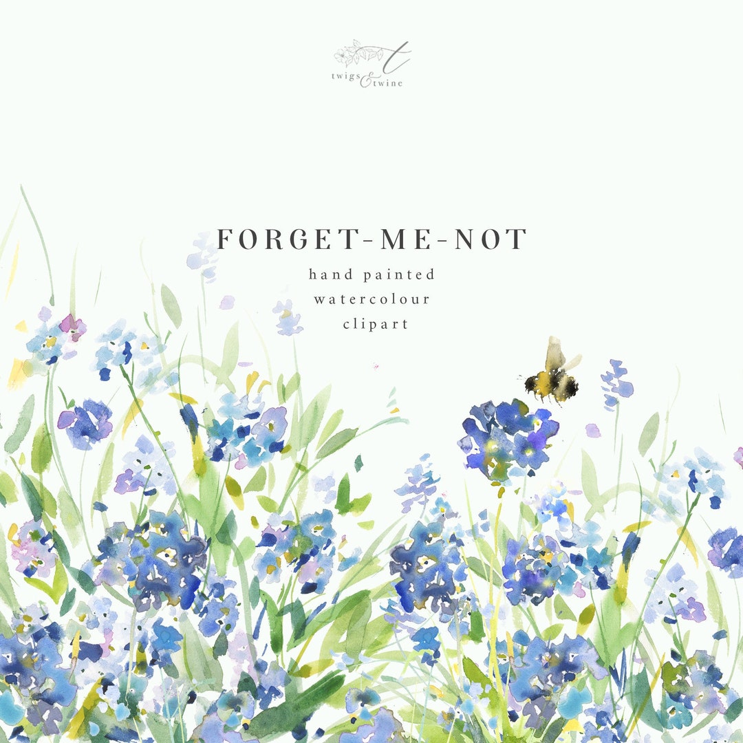 Forget Me Not Watercolor Flower Clipart Set - Botanical Designs With ...