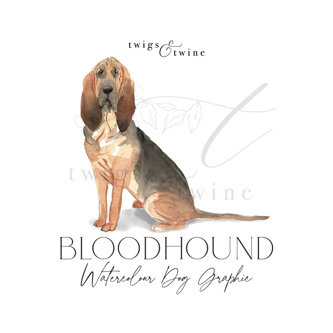 Bloodhound Watercolor Dog Illustration Graphic - Commercial Use - With ...