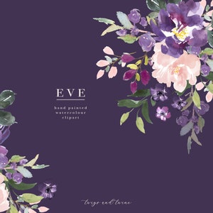 Eve - Purple and Blush Peonies Clipart - High Quality Hand-painted ...