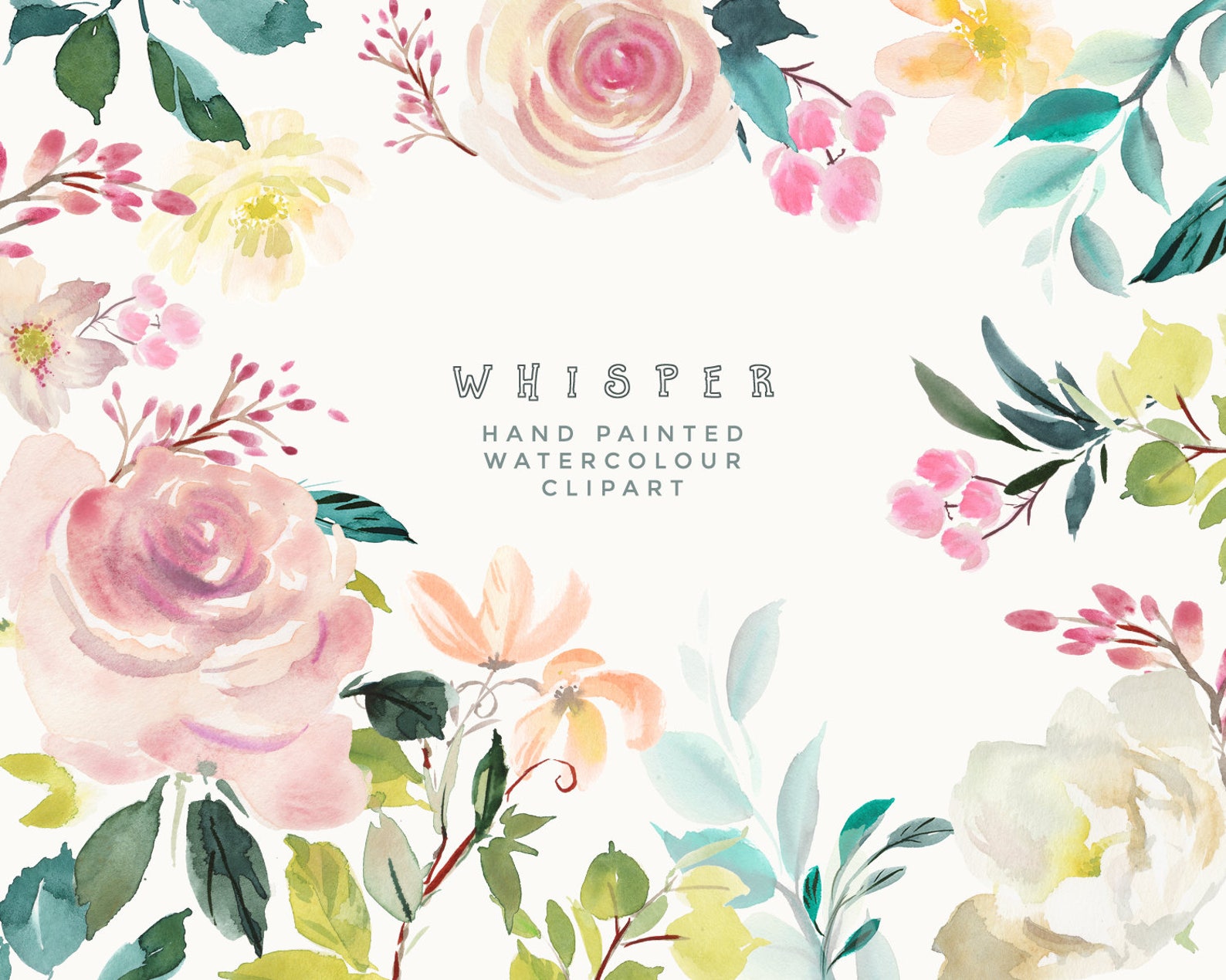 Hand Painted Flower Clipart Whisper Watercolor Floral. | Etsy