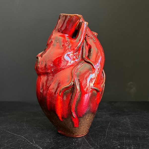 Anatomical Heart Vase - Etsy