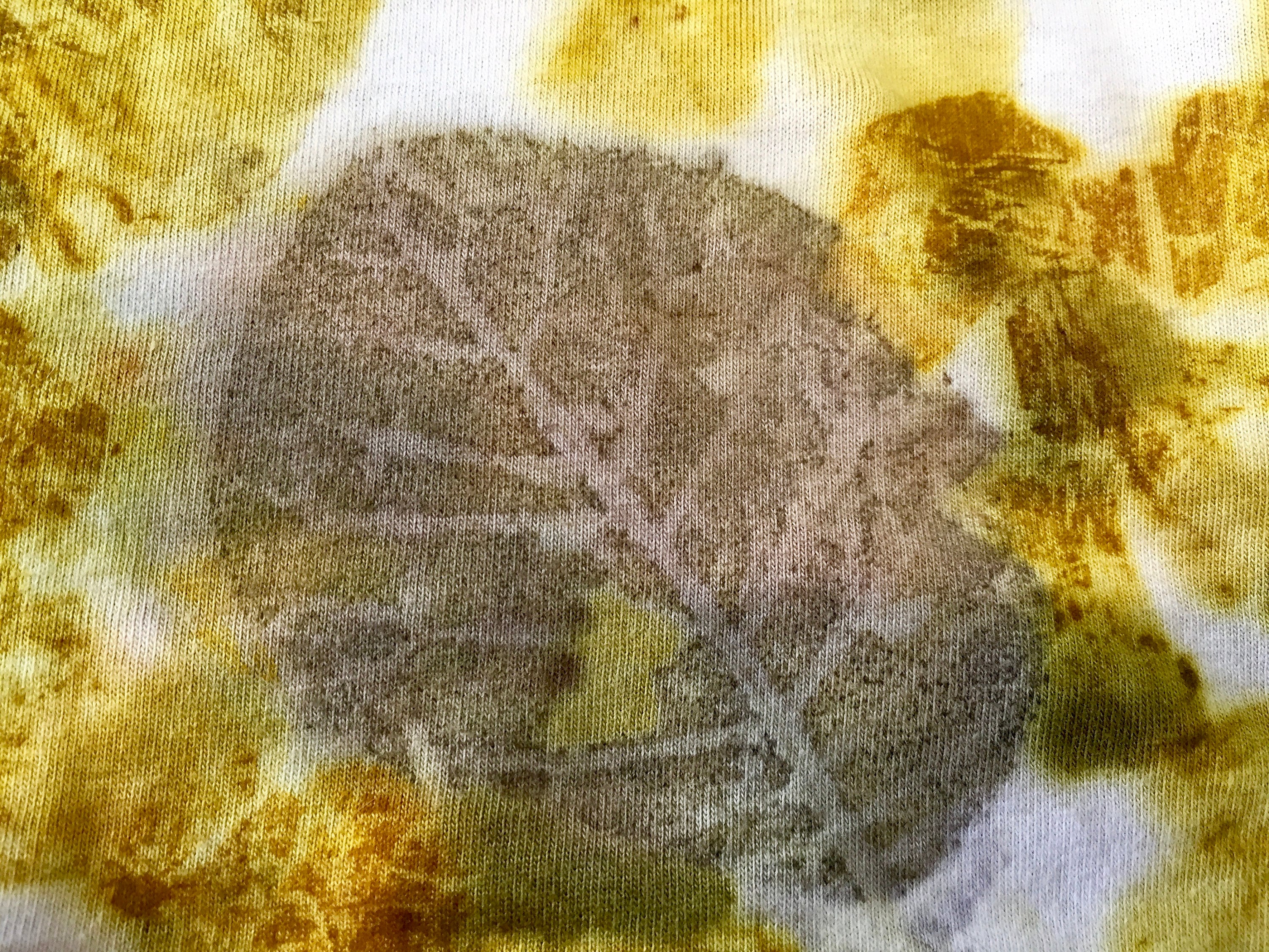 Master Class Dyeing T-shirts With the Eco Print Technique PDF Format ...