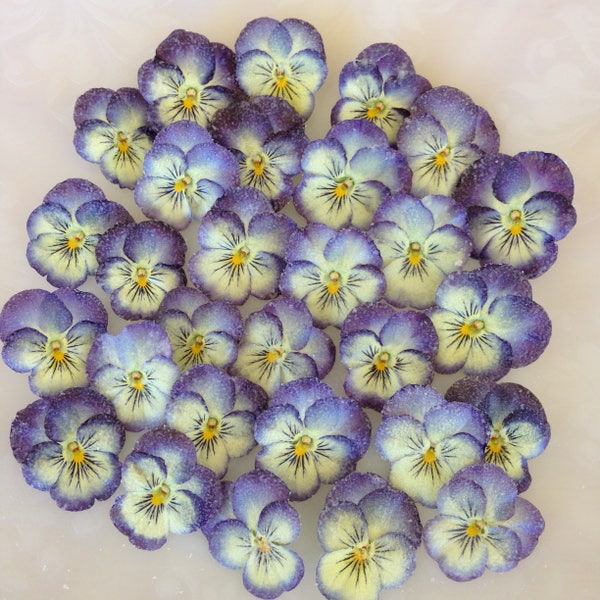 Candied Flowers - Etsy