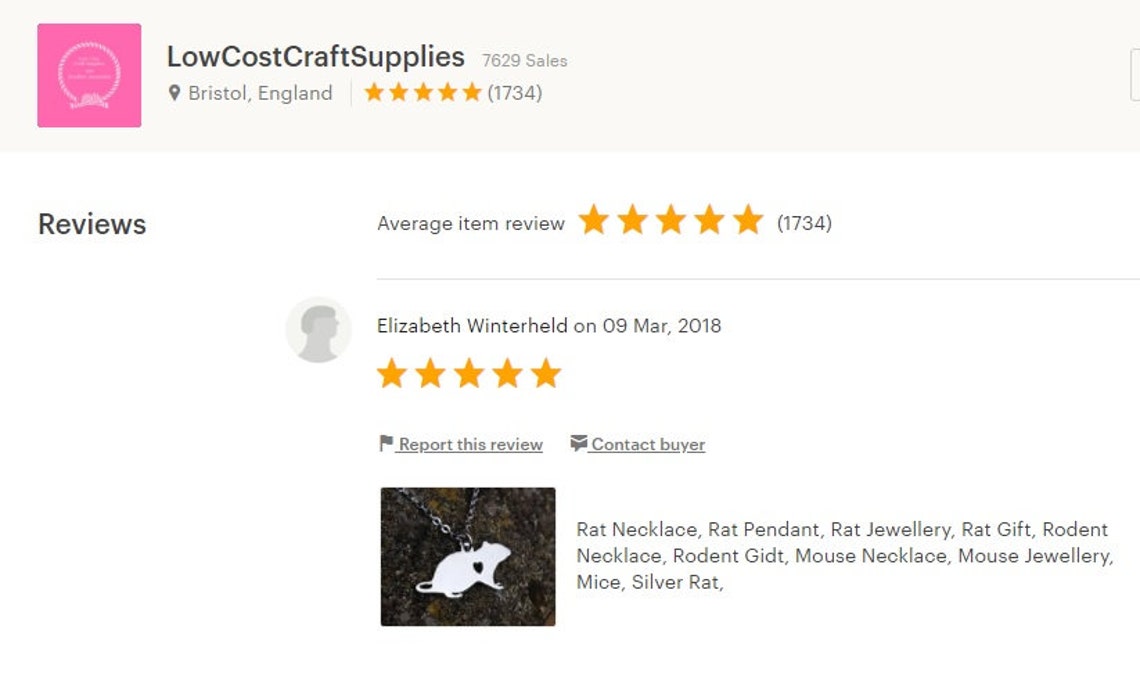 Rat Necklace, Rat Pendant, Rat Jewellery, Rat Gift, Rodent Necklace ...