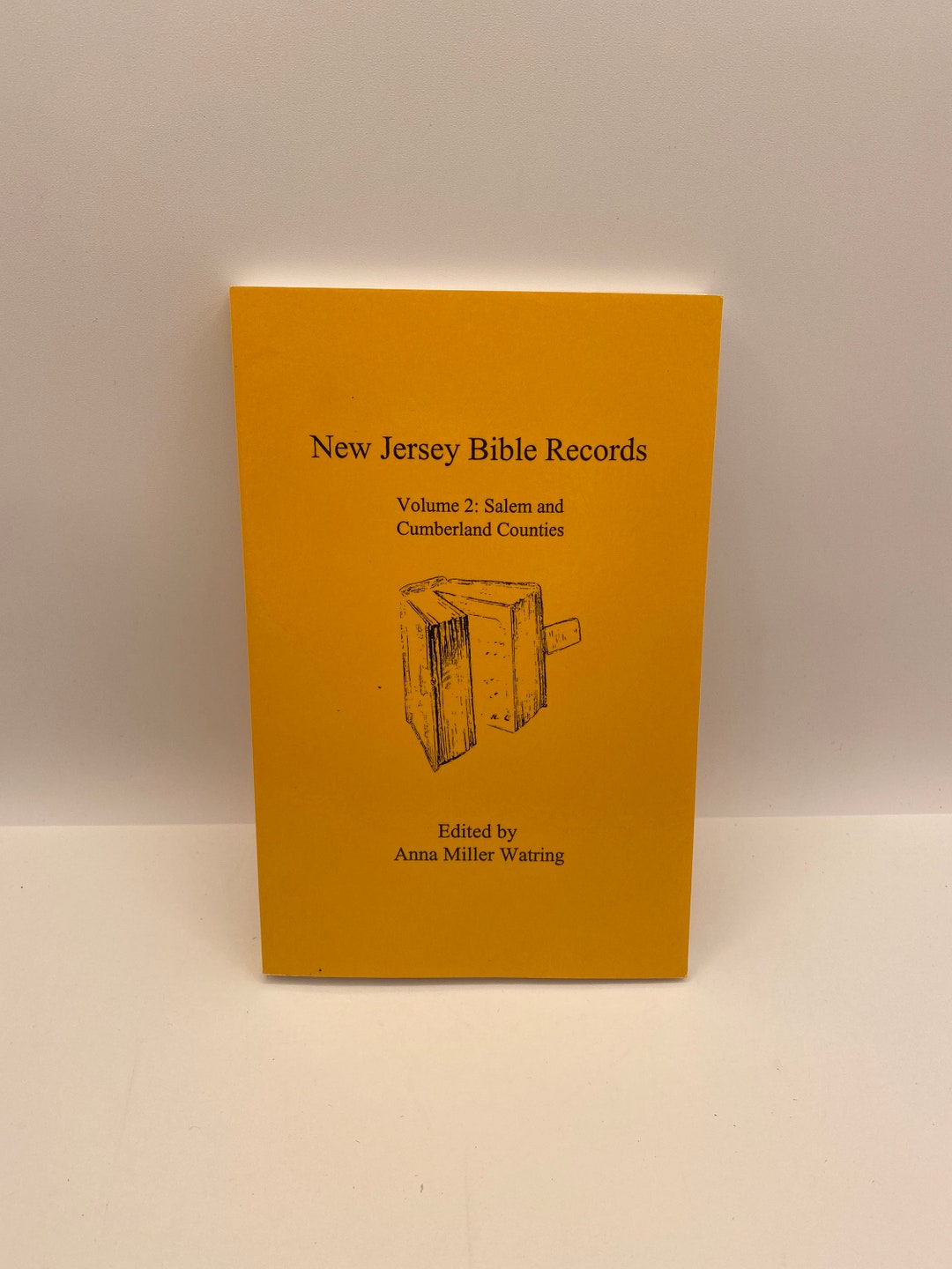 New Jersey Bible Records Volume 2: Salem and Cumberland Counties ...
