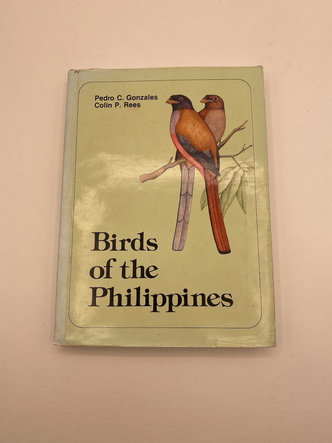 Birds of the Philippines by Pedro Gonzales and Colin Rees / Asian ...