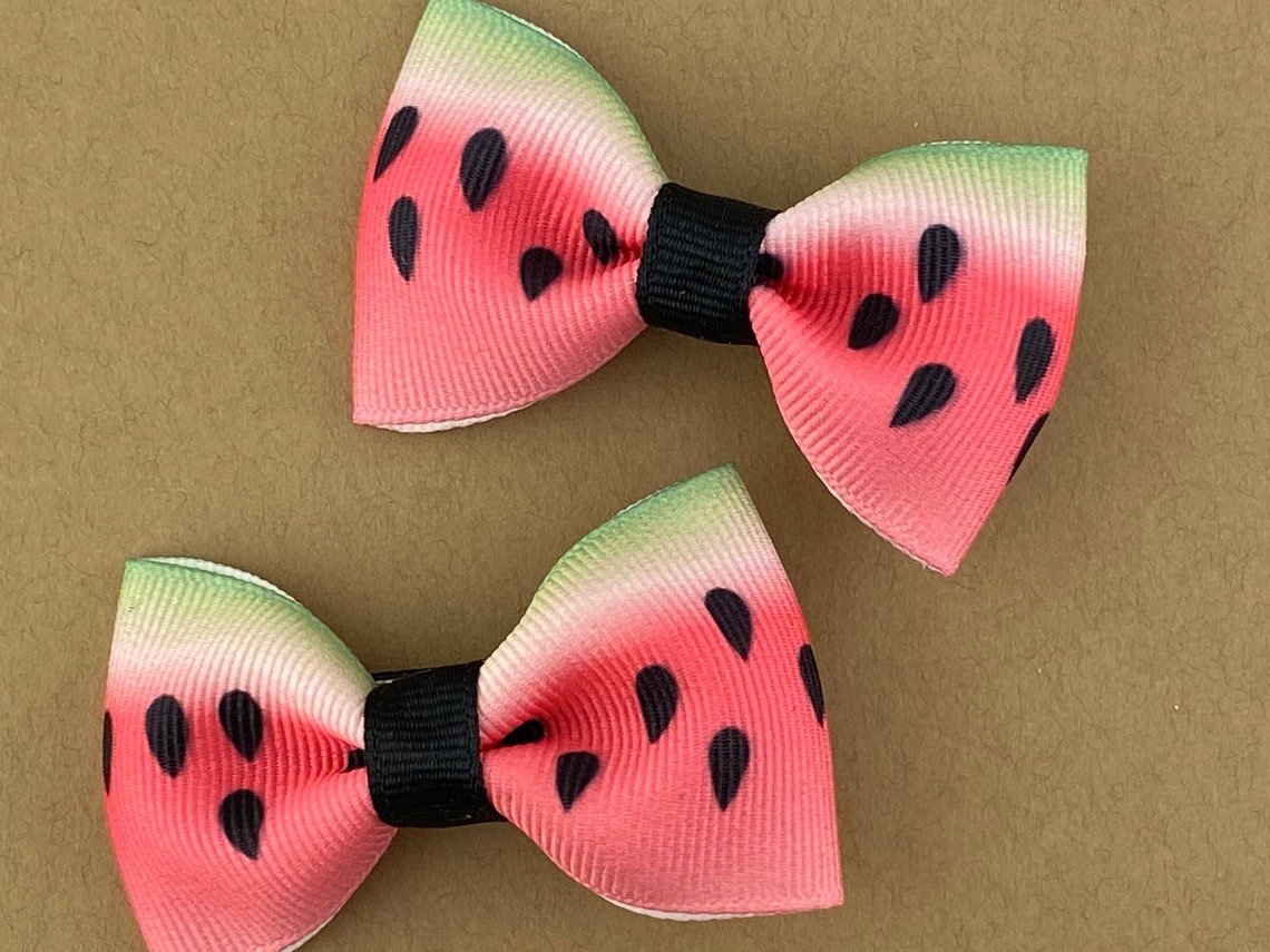 Watermelon Hair Bow, Watermelon Hair Clip, Watermelon Pigtail Bow ...