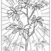 Coloring Pages Set #2 - Etsy