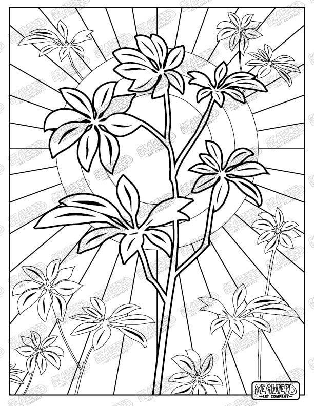 Coloring Pages Set #2 - Etsy