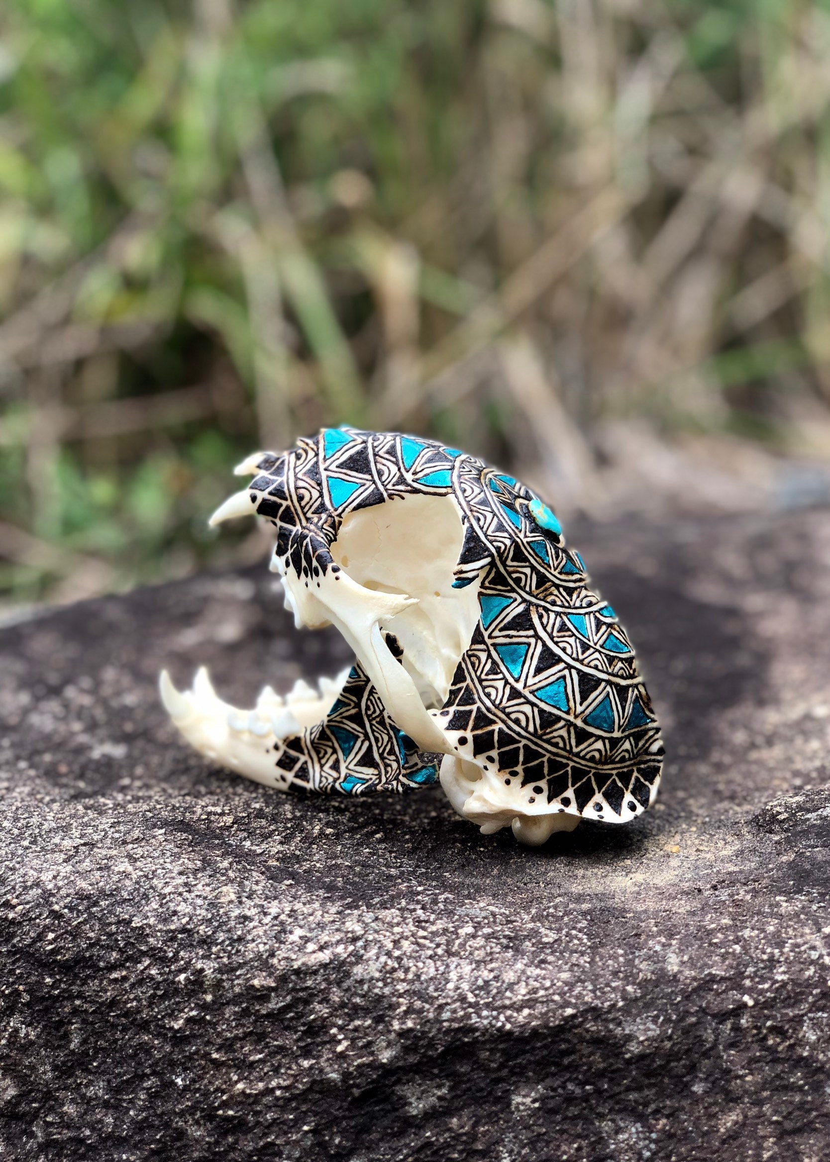Hand Painted Bobcat Skull With Turquoise - Etsy