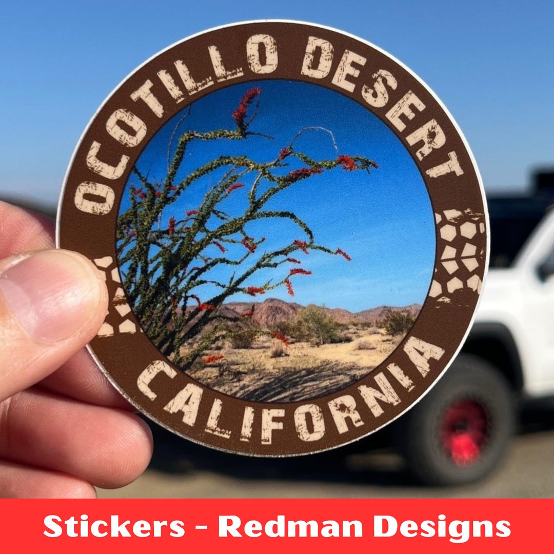 Ocotillo Desert Sticker - Etsy