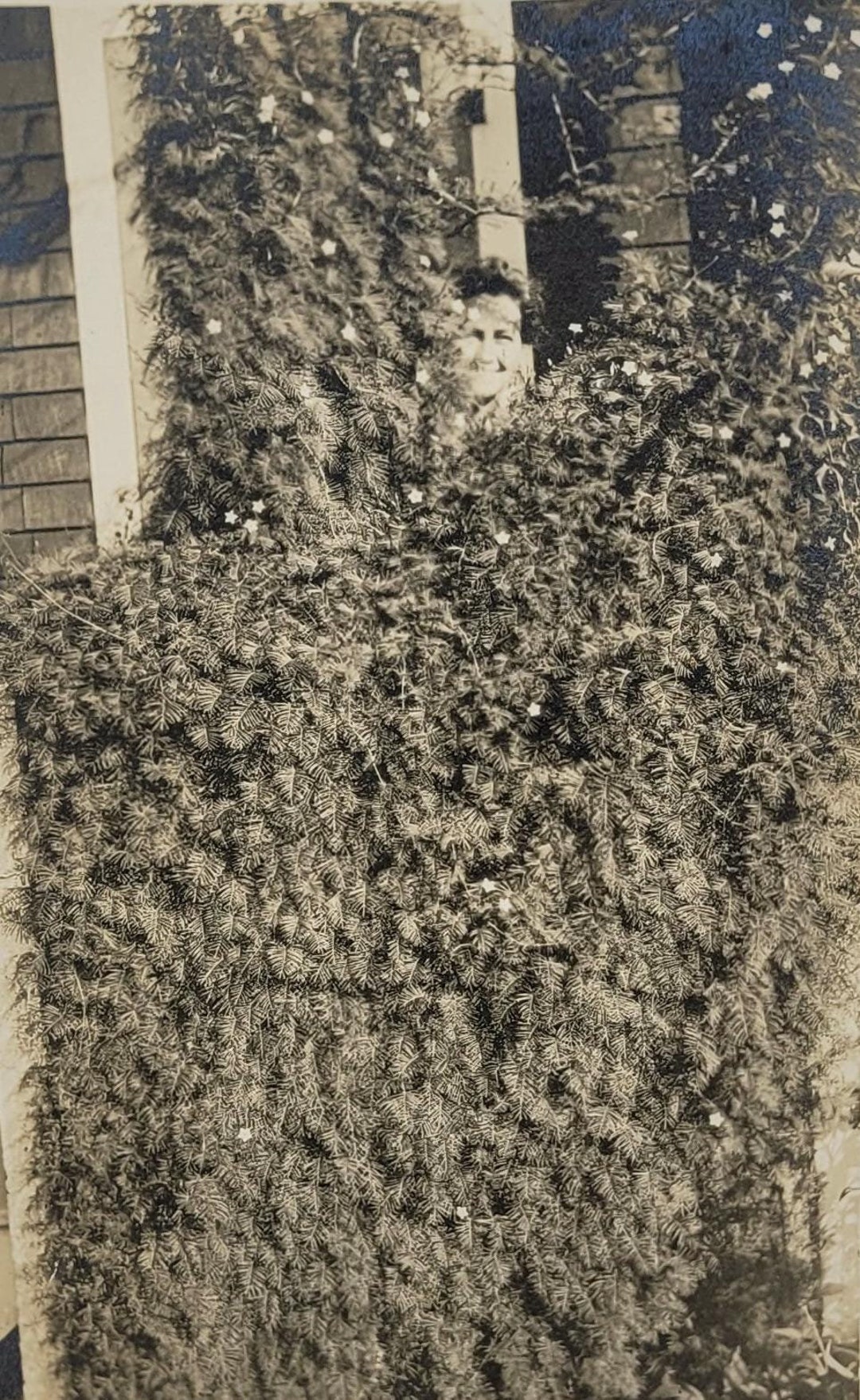 Camouflagedrppcwoman's Head Peeking Out Behind the Bush or Trellis - Etsy