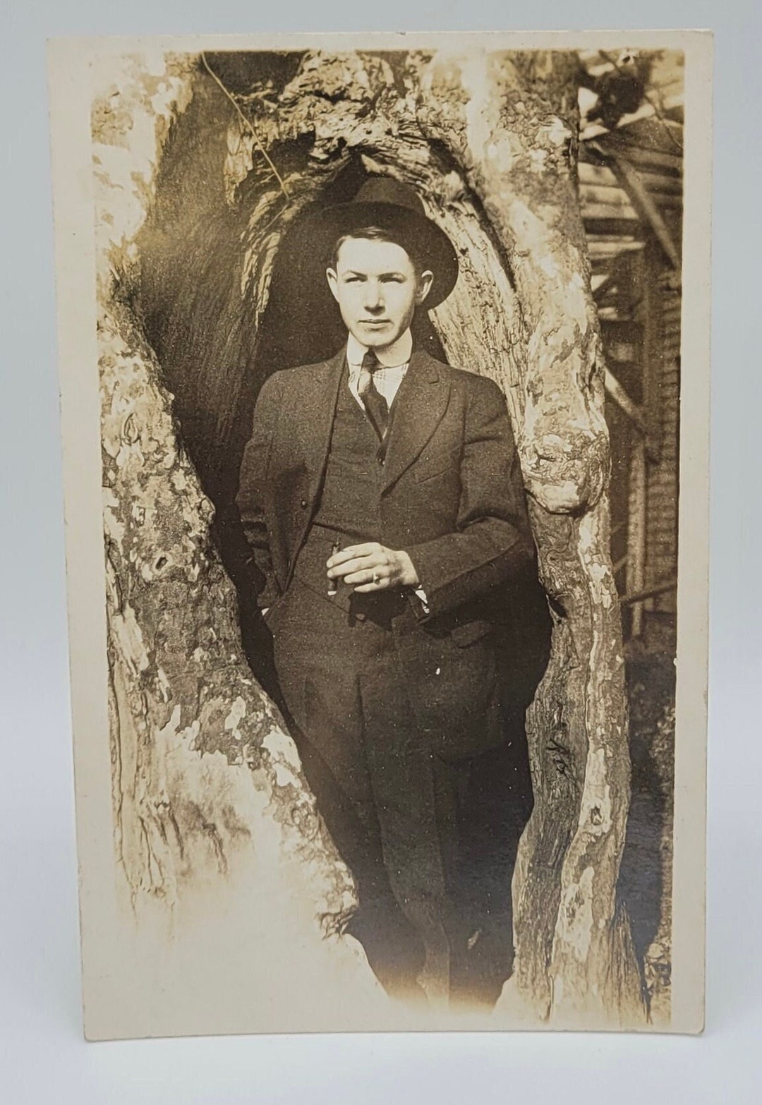 Handsome Guy Posed Inside Tree Trunkrppclooking Sharpholding Cigarphoto ...
