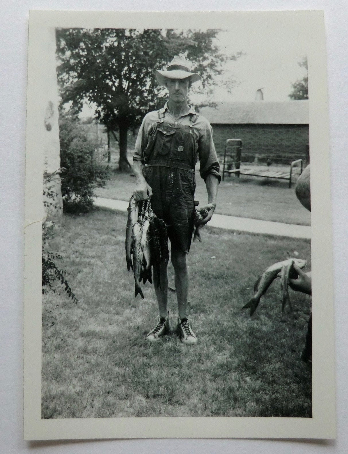 Vintage Fish Stringers for sale | Only 3 left at -60%