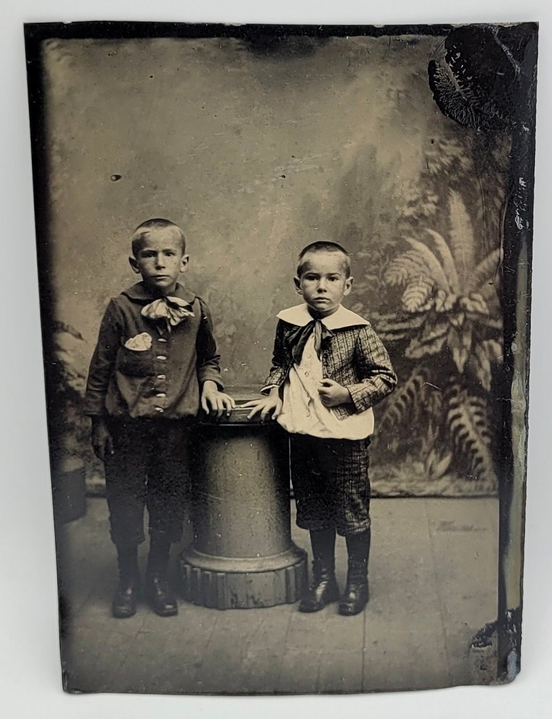 Tintype Photo Two Cute Little Boysbrothers Photoedwardian Eraplants ...
