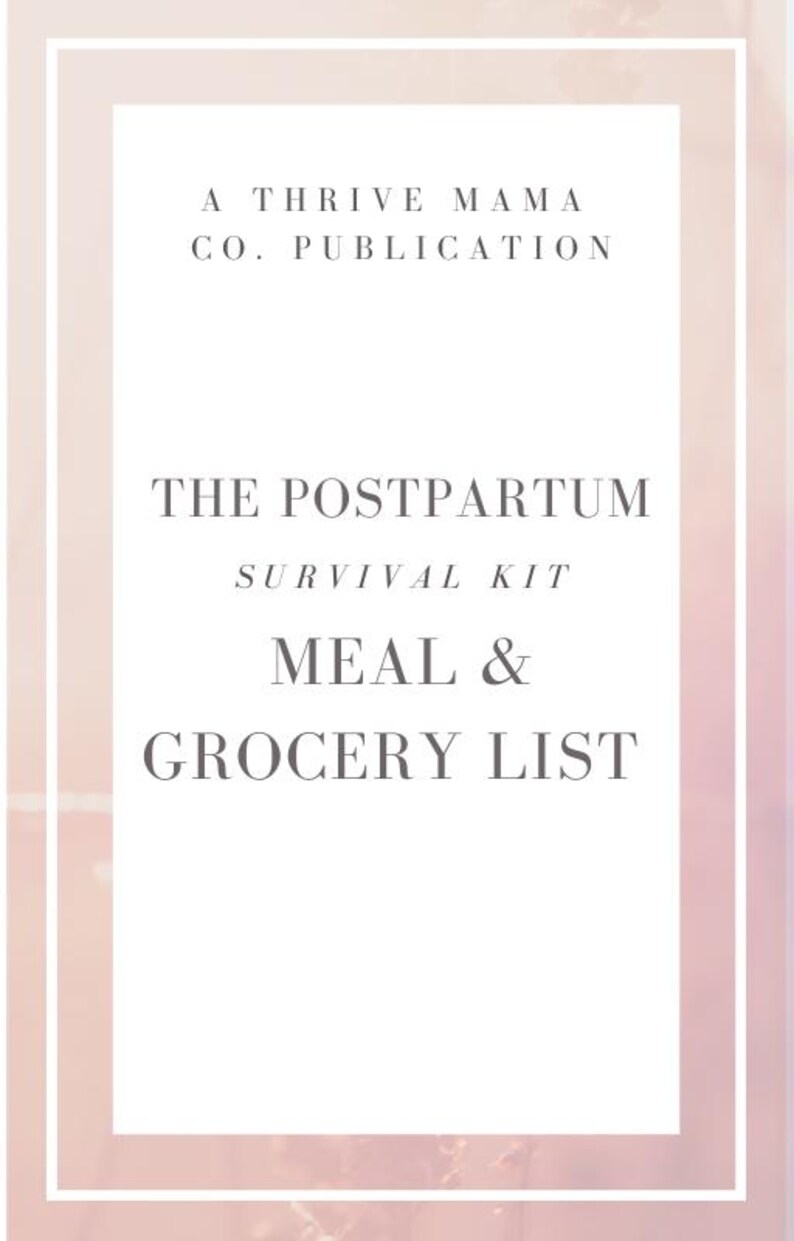New Mom Postpartum Survival Kit: Digital Ebook + Logs (instant Download ...