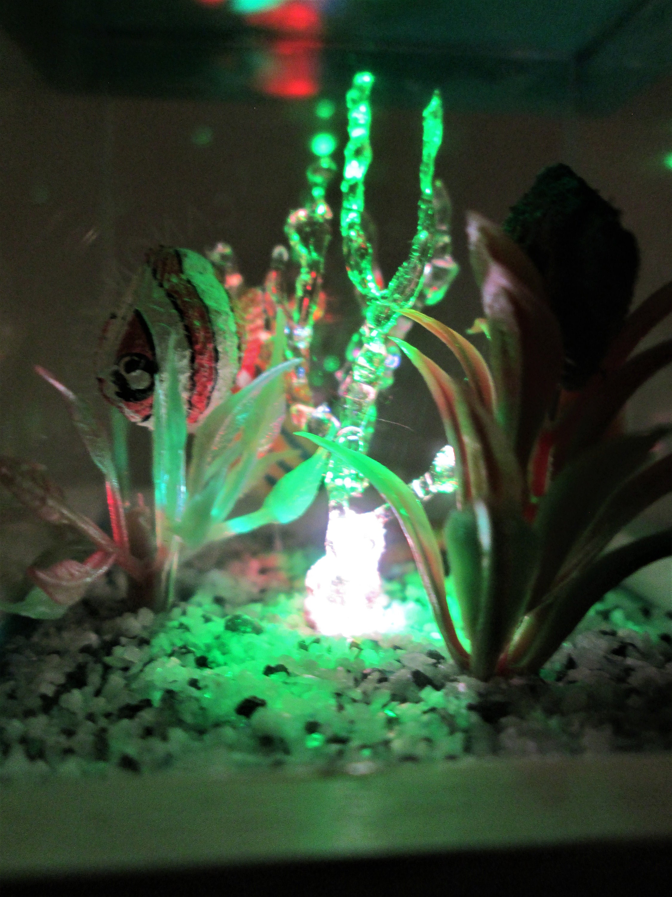 1:12 scale miniature aquarium with three fish, miniature LED fish tank ...