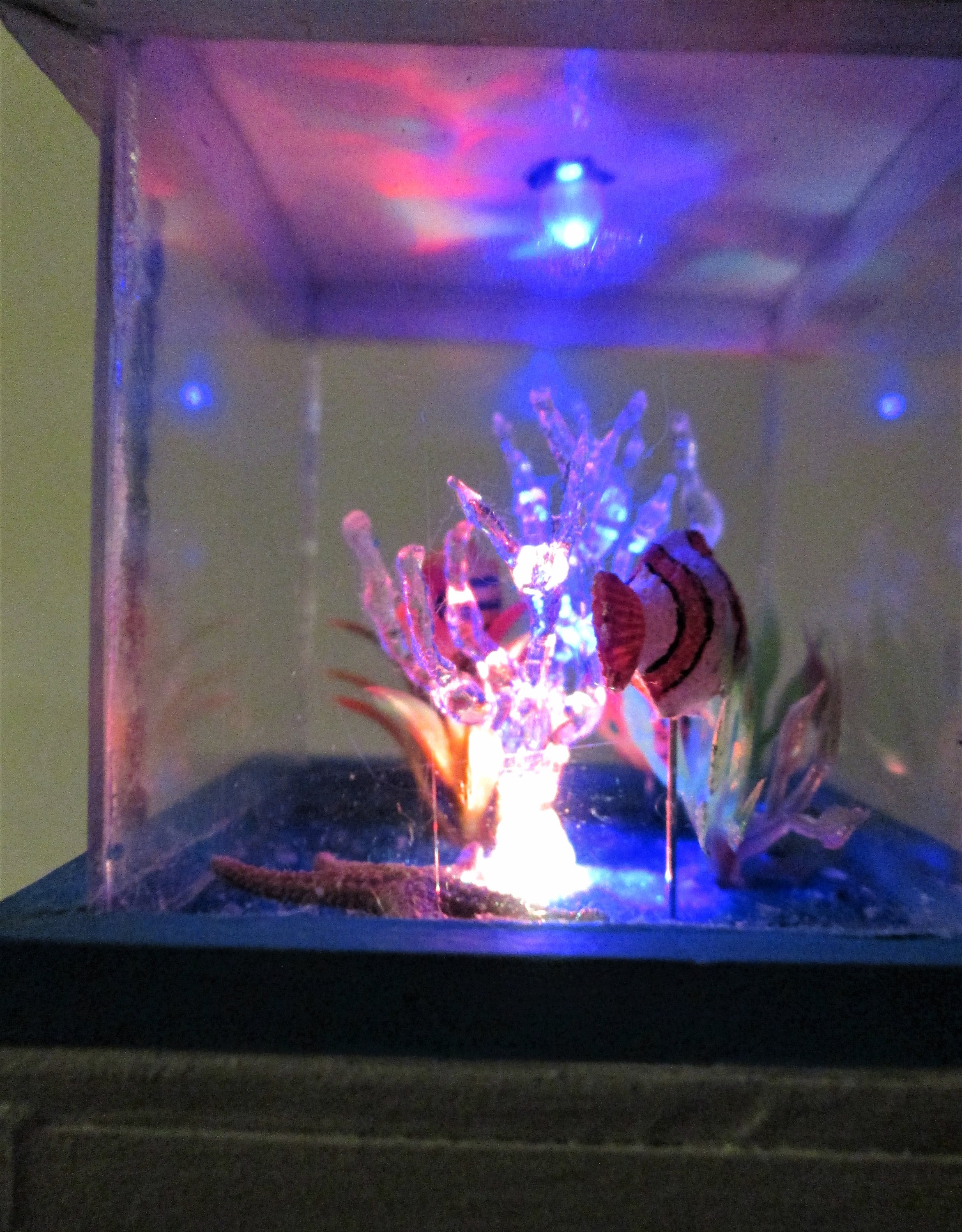 1:12 scale miniature aquarium with three fish, miniature LED fish tank ...
