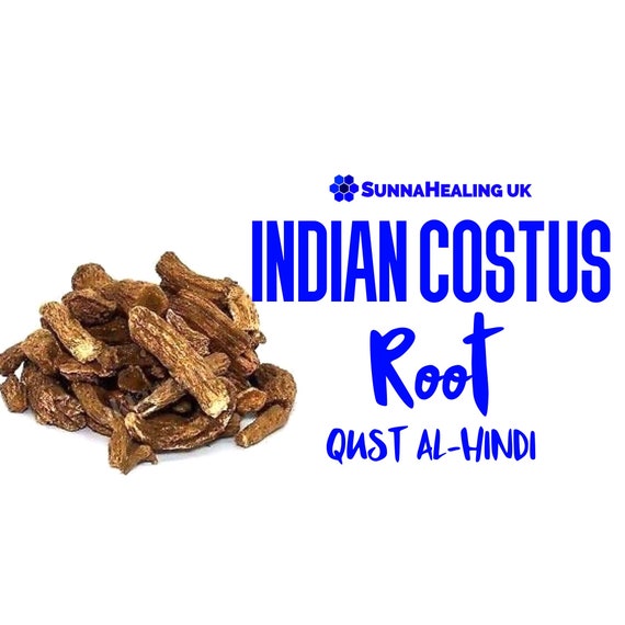 Indian Costus Root qust Al Hindi | Etsy