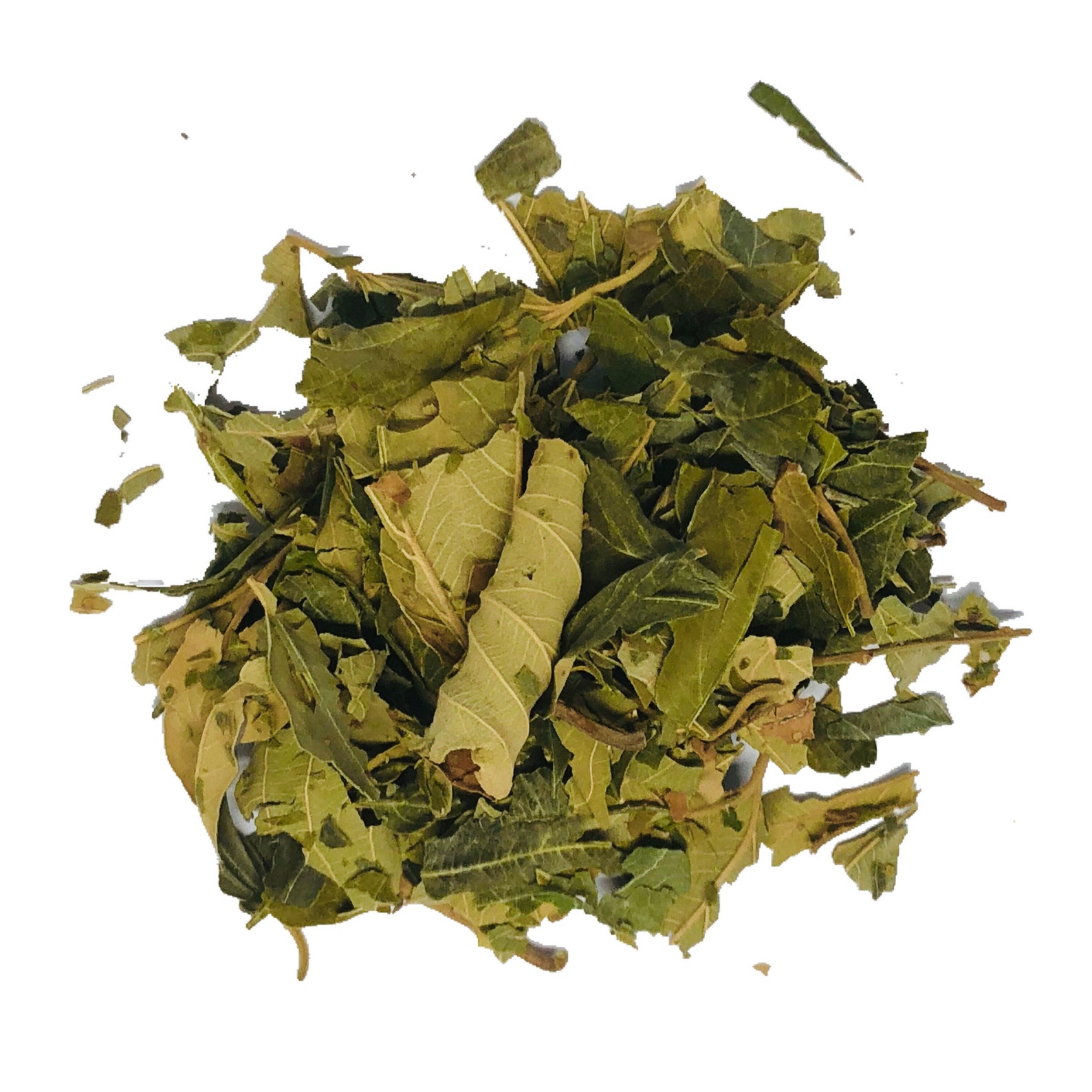 Sidr Leaves Lote Leaves | Etsy