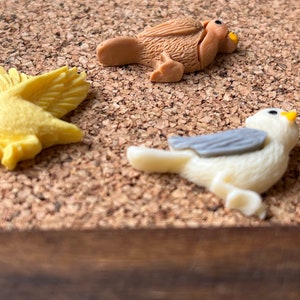 Bird Push Pins,bird Lover Gift,thumbtacks,bird Gifts for Mom,pushpins ...