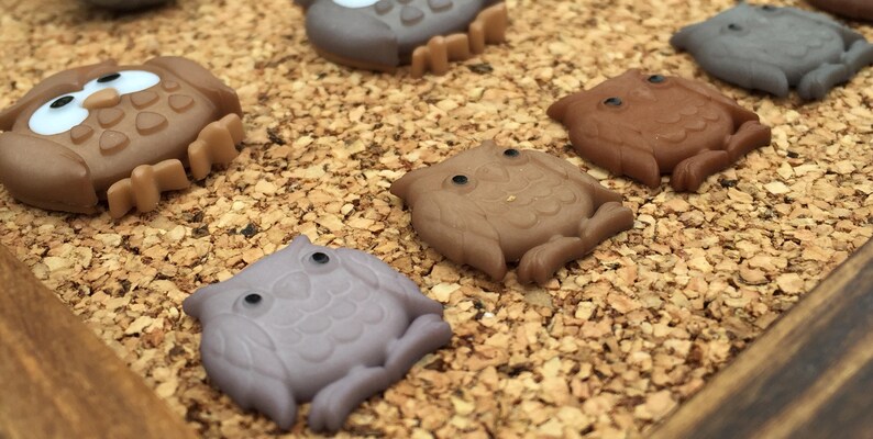 Owl Thumb Tacks,pushpins,owl Gifts for Women,owl Gift Teacher,owl Decor ...