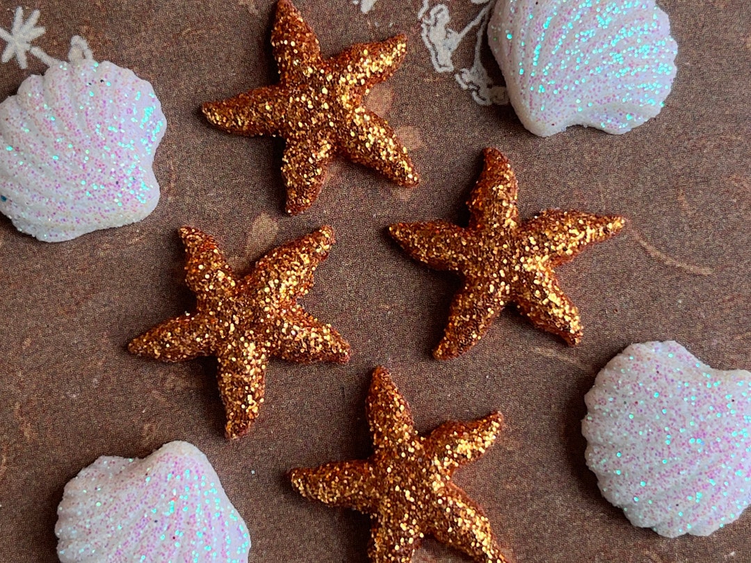 Beach Magnets,sea Shell Magnet,seashell,beach Decor,starfish Magnets ...