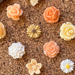 Push Pins,peach Decorations,thumb Tacks,teacher Gifts Ideas,gift for ...