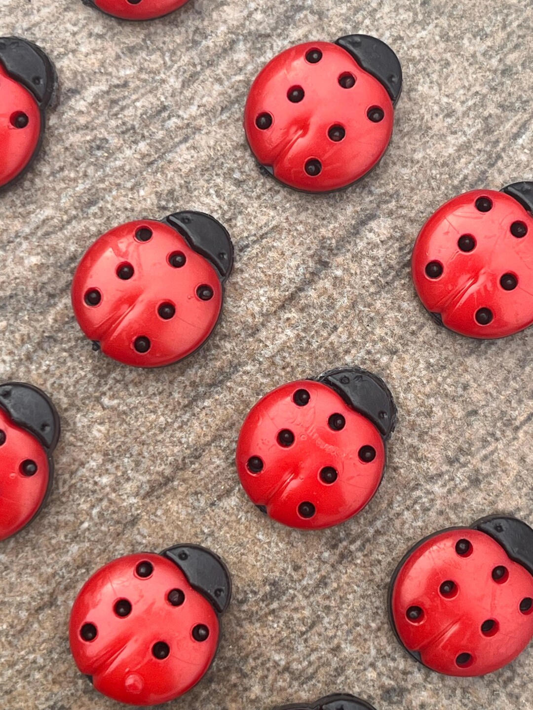 Ladybug Magnets,lady Bug Magnets for Magnet Board,insect Magnet,ladybug ...