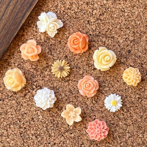 Push Pins,peach Decorations,thumb Tacks,teacher Gifts Ideas,gift for ...