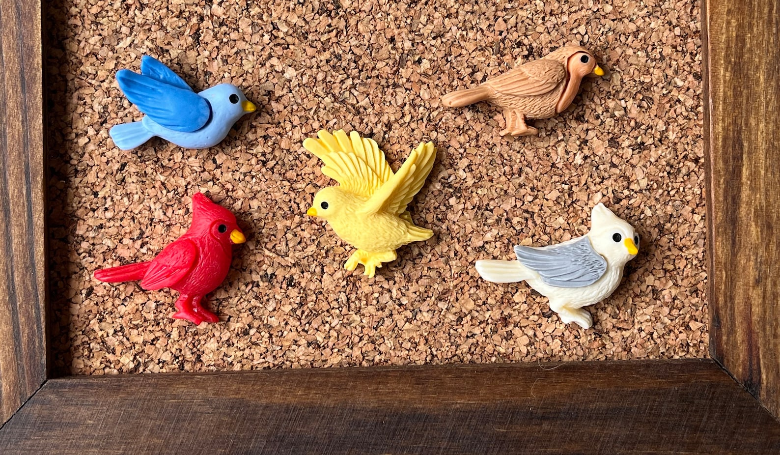 Bird Push Pins,bird Lover Gift,thumbtacks,bird Gifts for Mom,pushpins ...