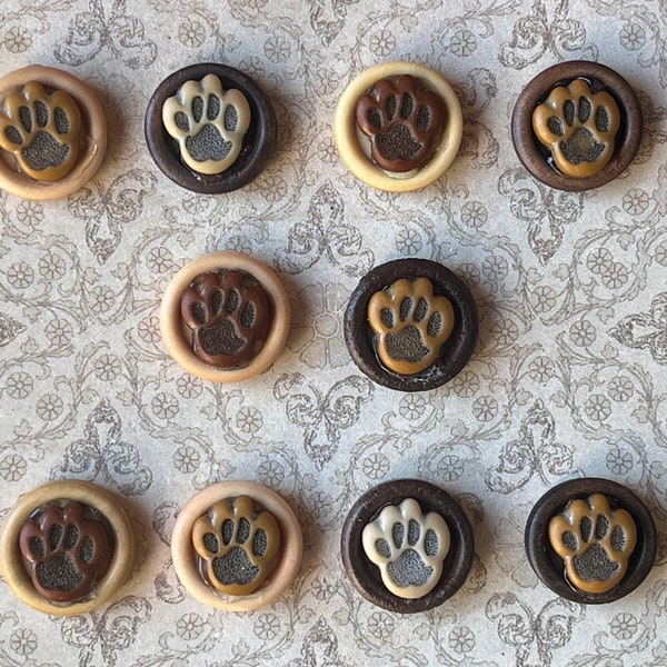 Paw Print Magnet - Etsy