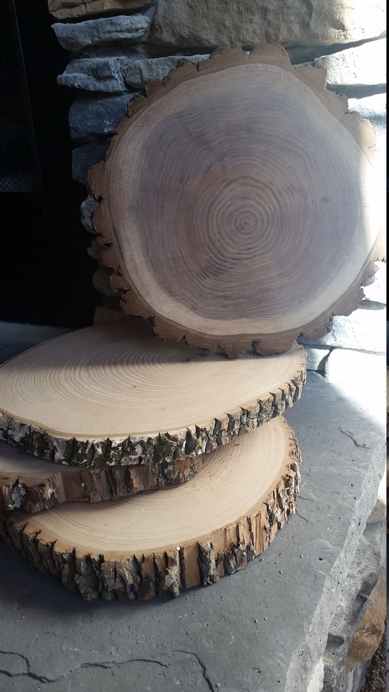 Assorted Wood Slabs Rustic Decor Rustic Wedding Decor Country Wedding ...
