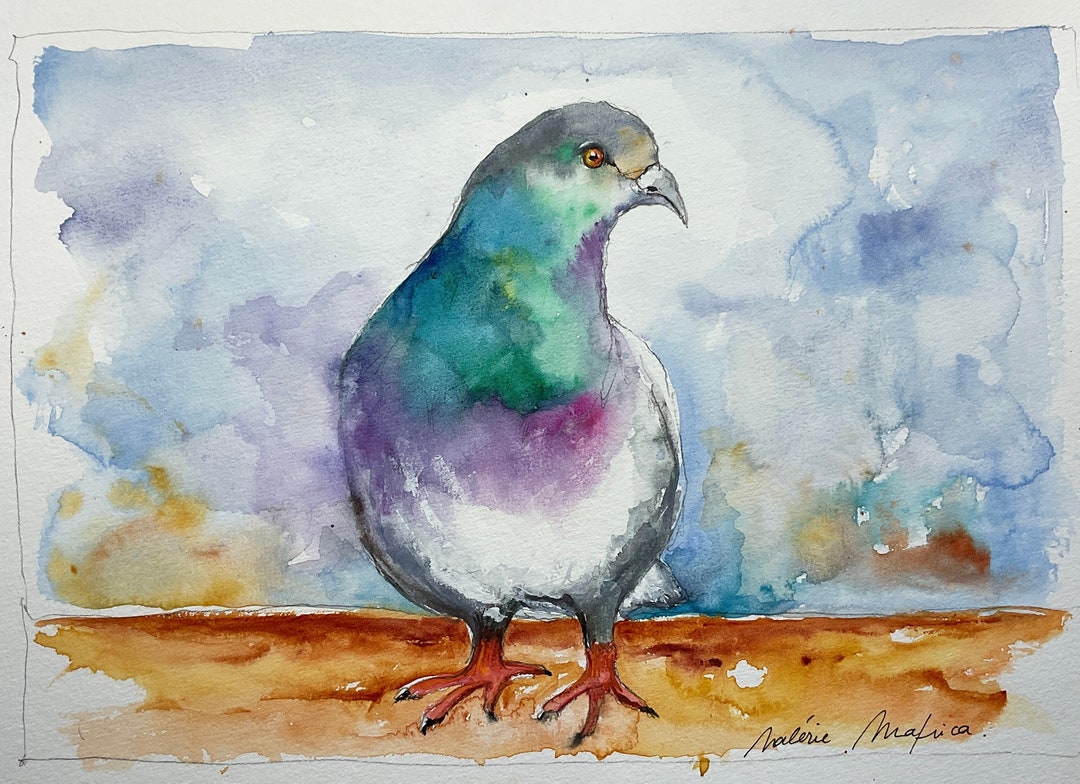 Original Pigeon Bird Watercolor Painting, Homing Pigeon Artwork, Bird ...