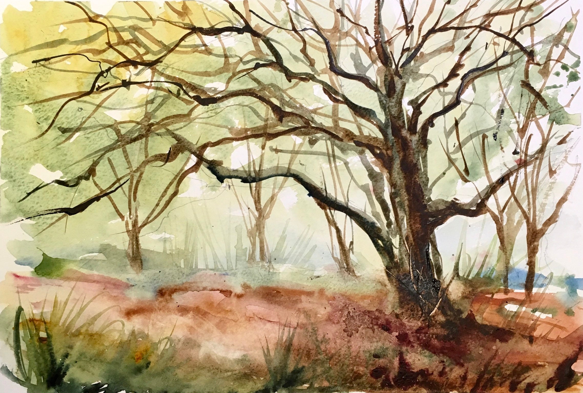Original Aquarell Baum im Herbst Waldbäumen Aquarell Herbst | Etsy